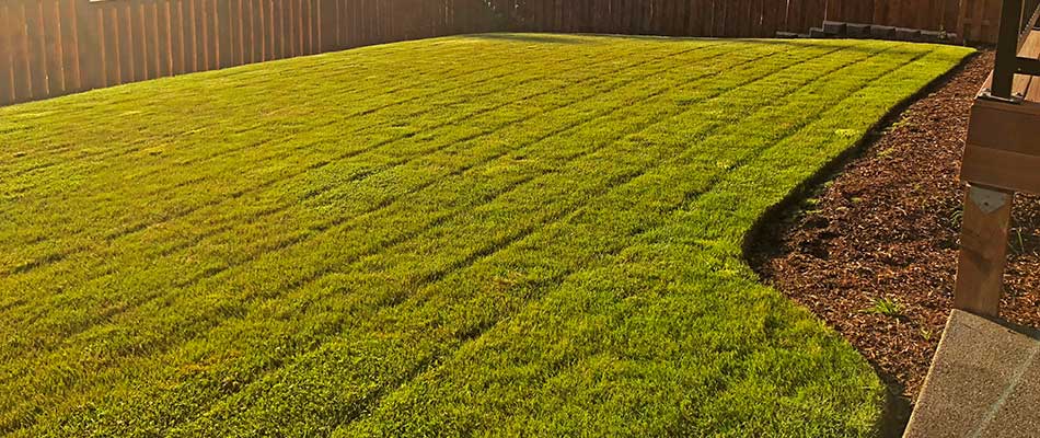 3 Techniques For Proper Mowing J C Lawn Care Blog