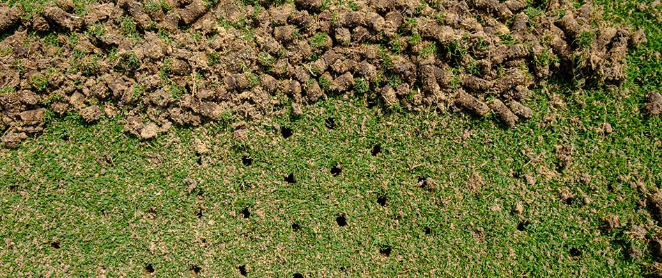 The Fall Season Has Arrived - It’s Time to Have Your Lawn Aerated | J&C ...